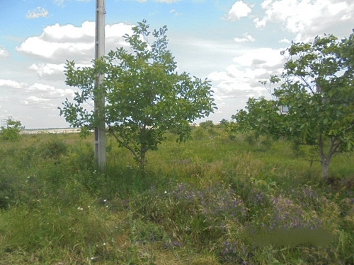 Teren agricol - EXTRAVILAN ARABIL